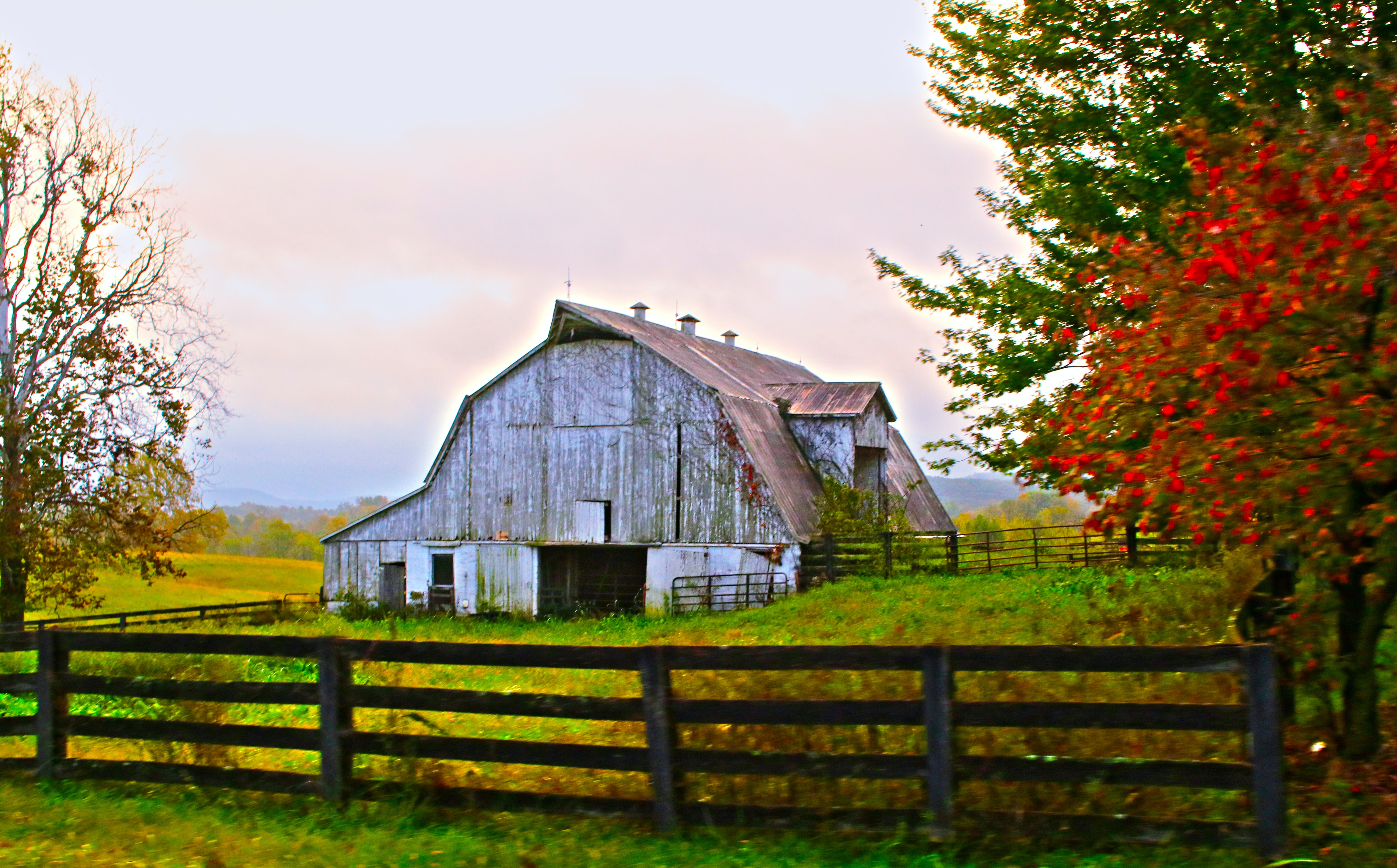 Farming Homestead — CHYOA