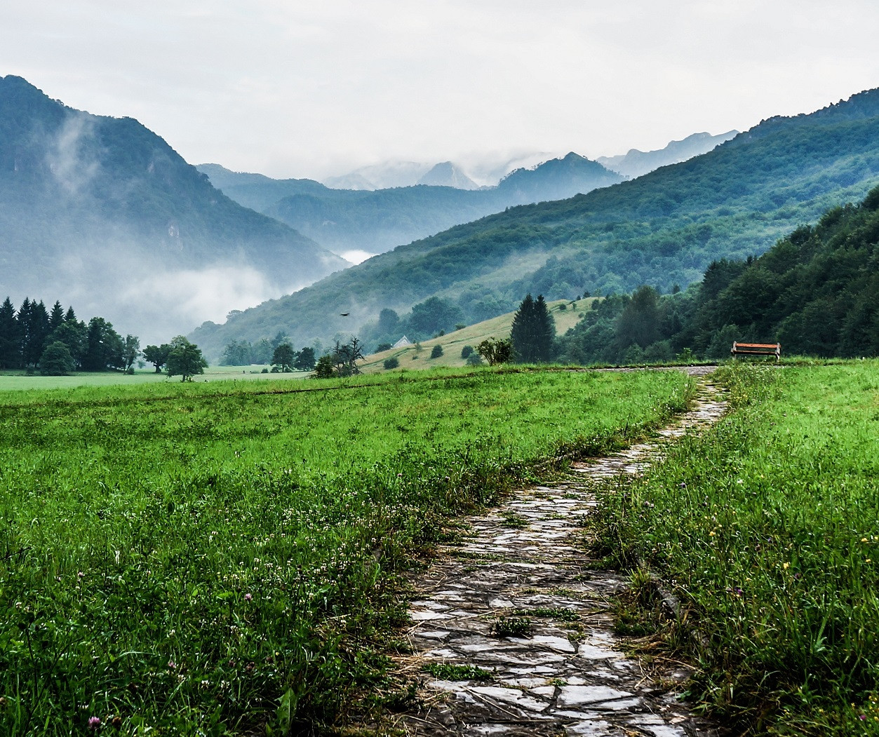 Sad Gobbo - Girl 3 — CHYOA